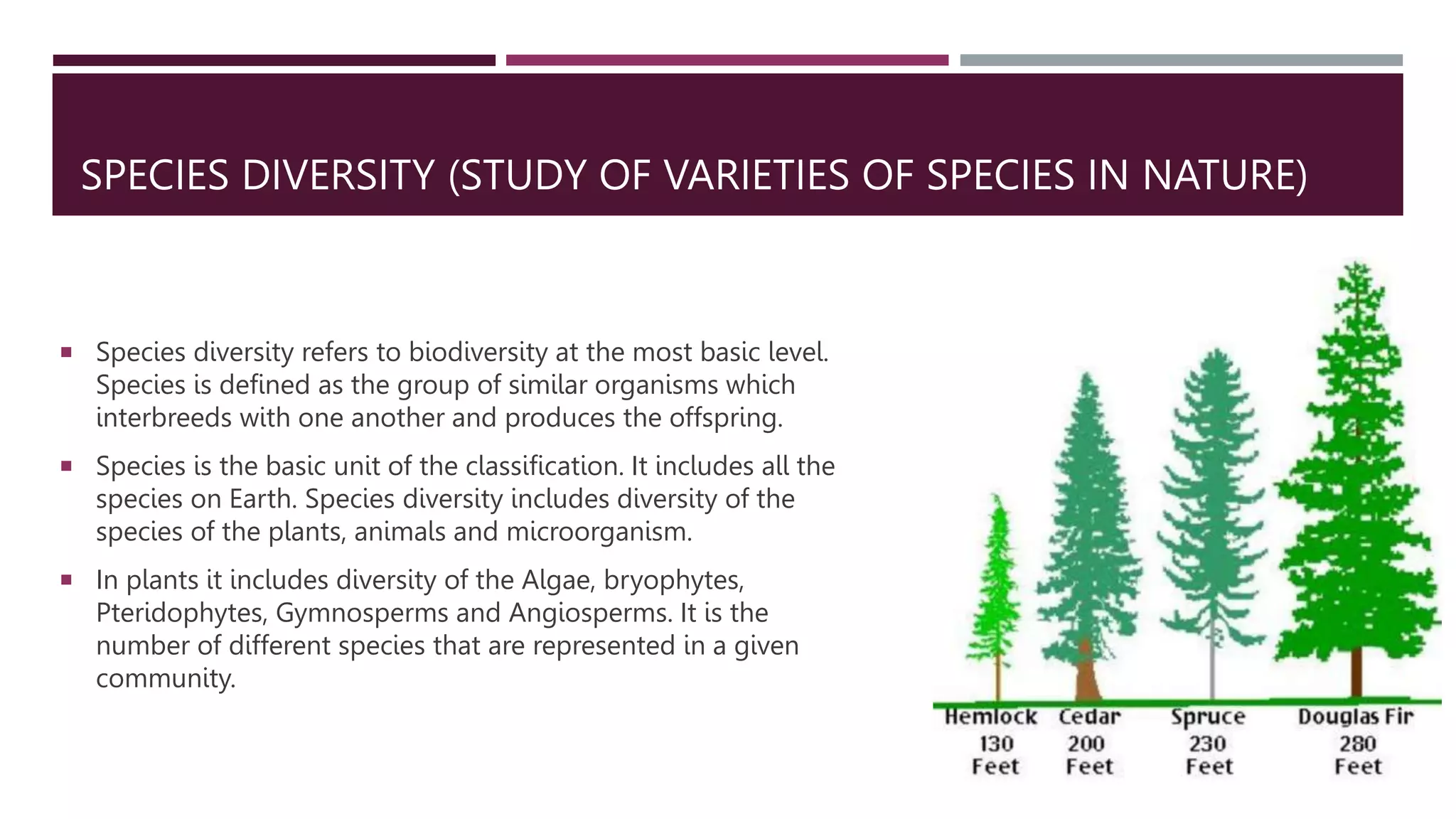 Plant Diversity & its scope.pptx
