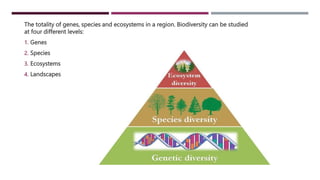 Plant Diversity & its scope.pptx