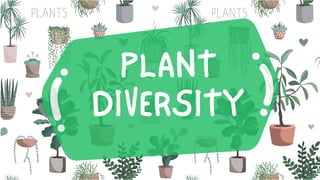 Plant Diversity presentation (1).pdf biology | PDF