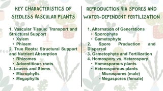Plant Diversity presentation (1).pdf biology | PDF