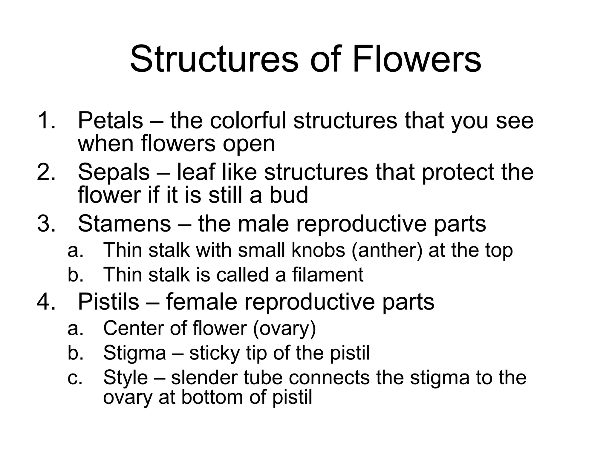 Plant divisions gymnosperms and angiosperms | PPT