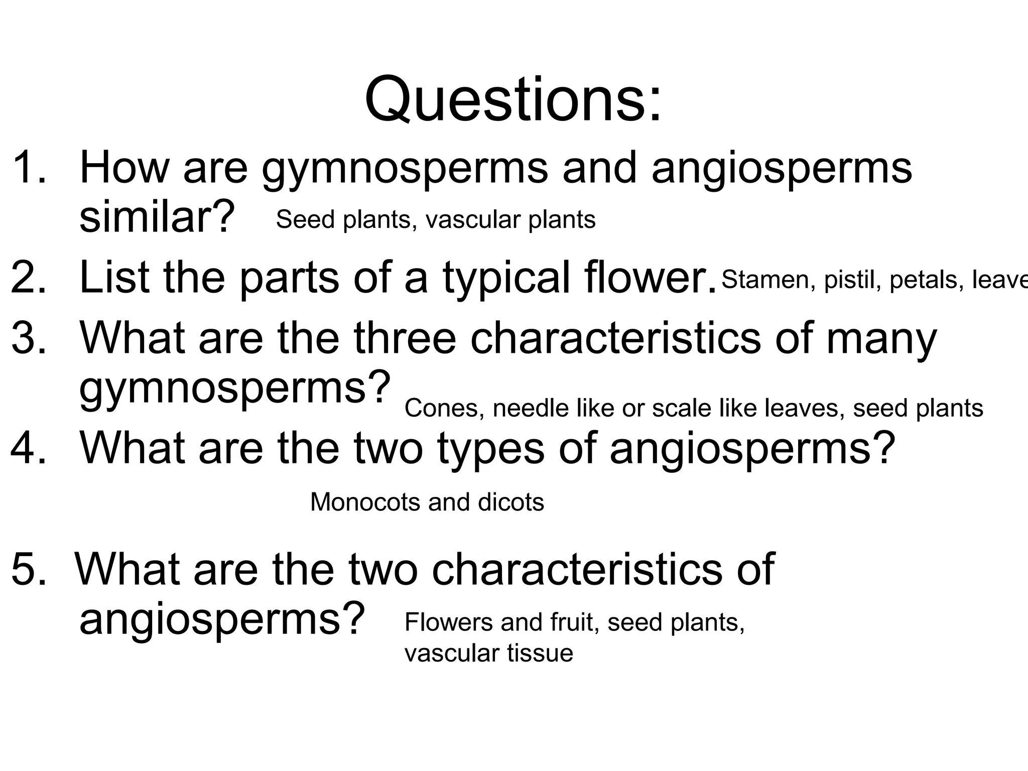 Plant divisions gymnosperms and angiosperms | PPT