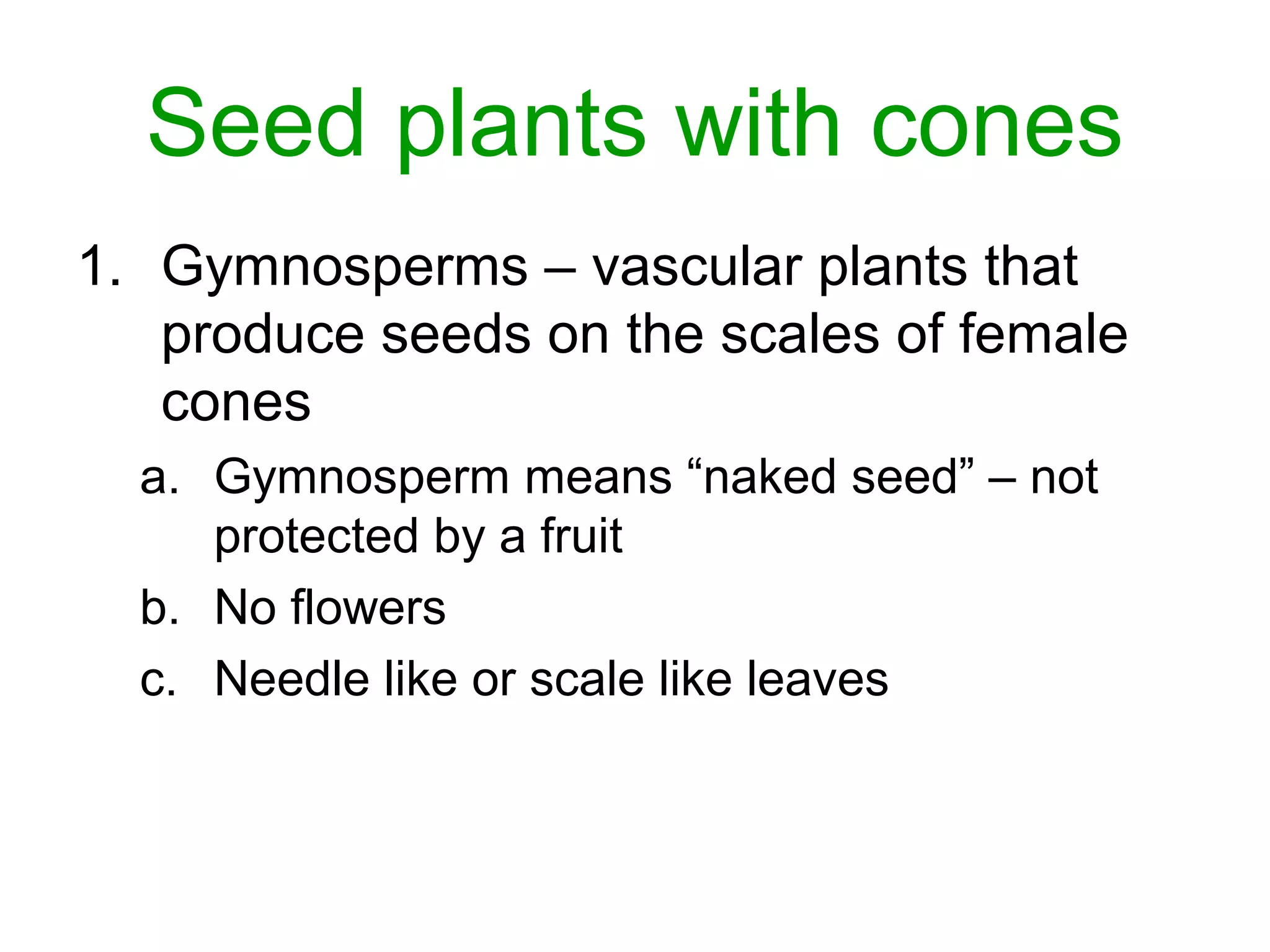 Plant divisions gymnosperms and angiosperms | PPT