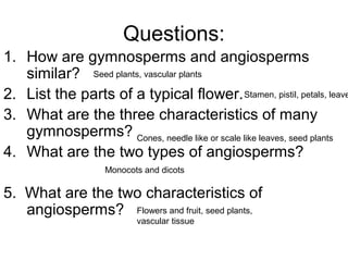 Plant divisions gymnosperms and angiosperms | PPT