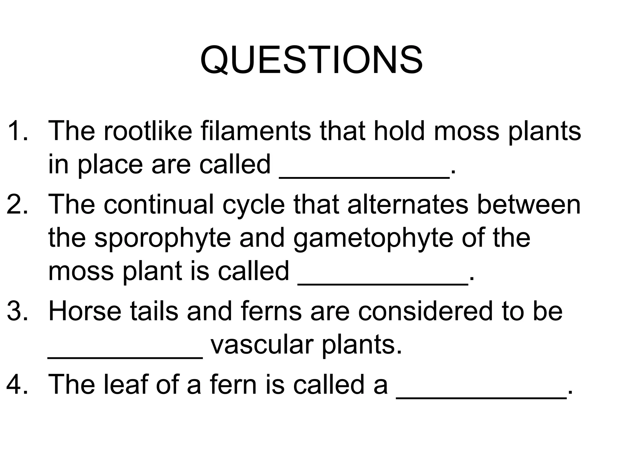 Plant divisions mosses and ferns | PPT