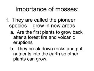 Plant divisions mosses and ferns | PPT