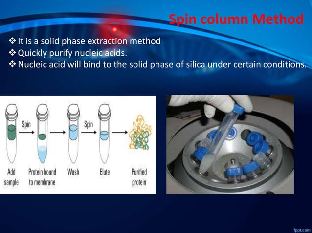 Plant dna extraction method | PPT