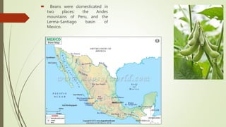 Plant domestication 18 05-16 geo | PPTX