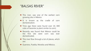 Plant domestication 18 05-16 geo | PPTX