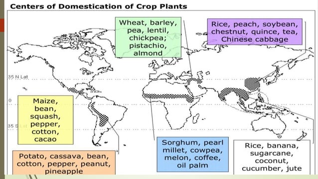 Plant domestication 18 05-16 geo | PPTX