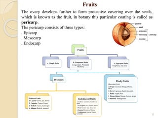 Plant drug standardization | PPT