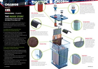 Plante | PDF