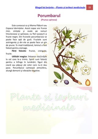Plante si-ierburi-medicinale | PDF