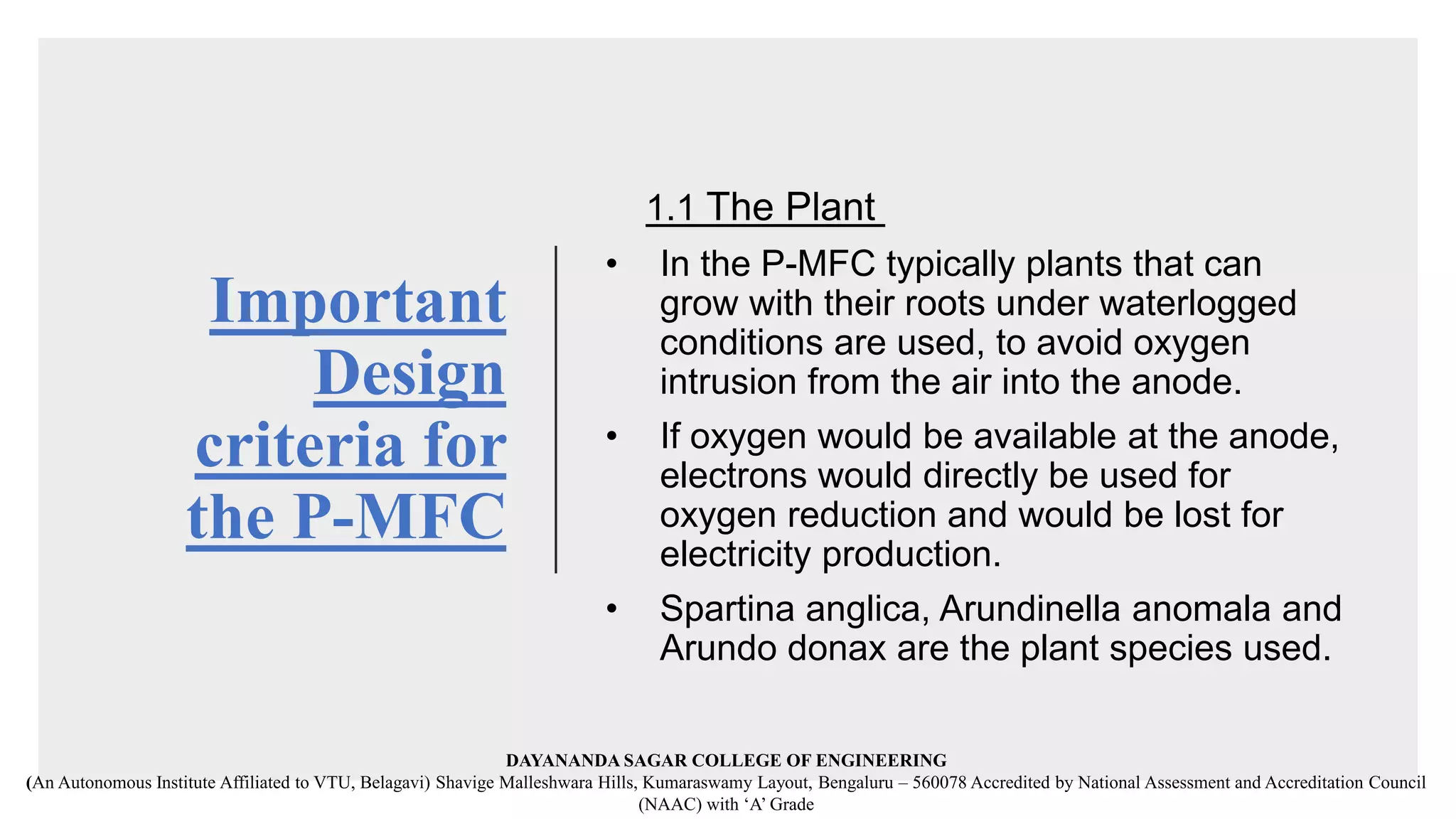 Plant e Technology: Electricity from Plants | PPTX
