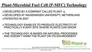 Plant e Technology: Electricity from Plants | PPTX