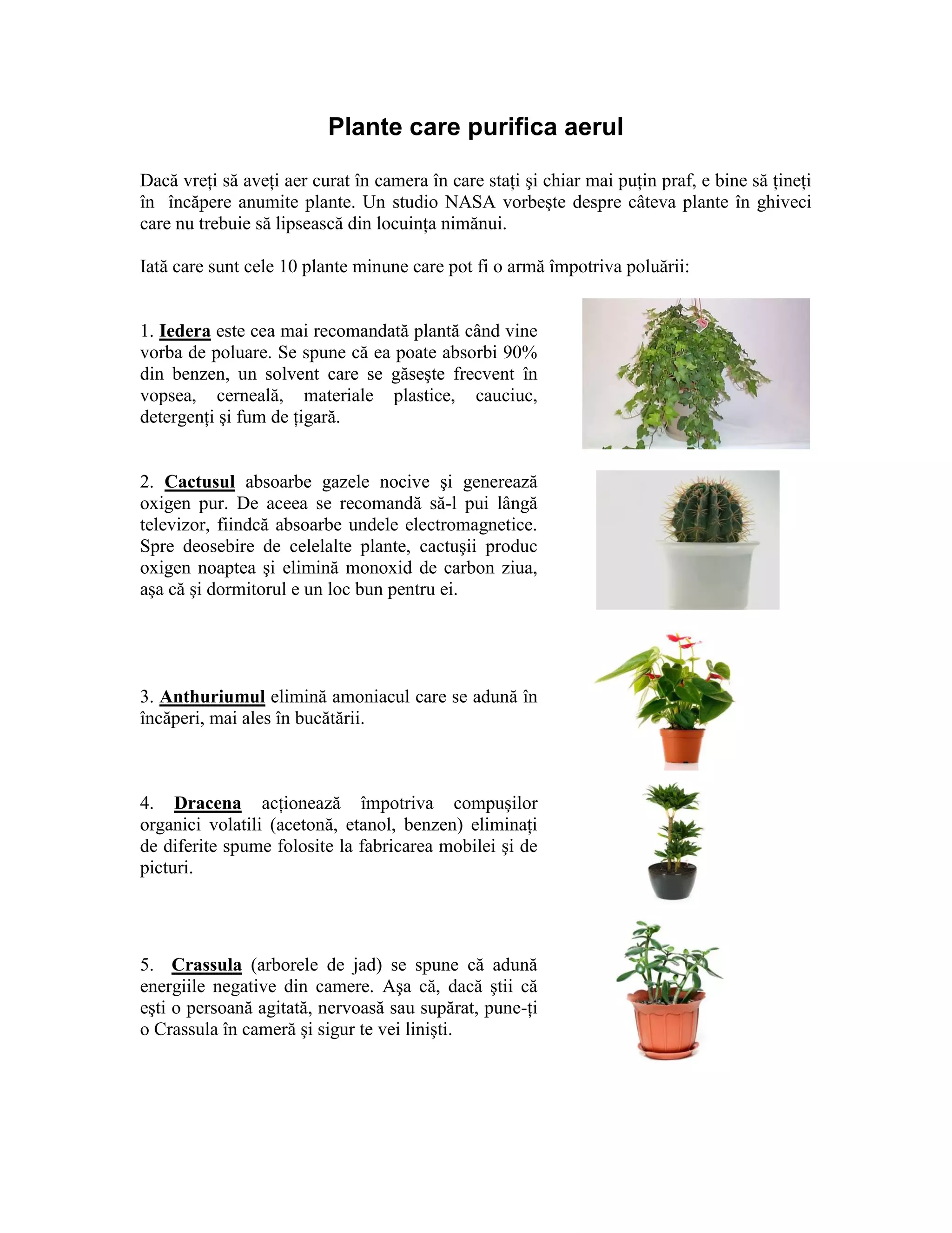 Plante care purifica aerul | PDF