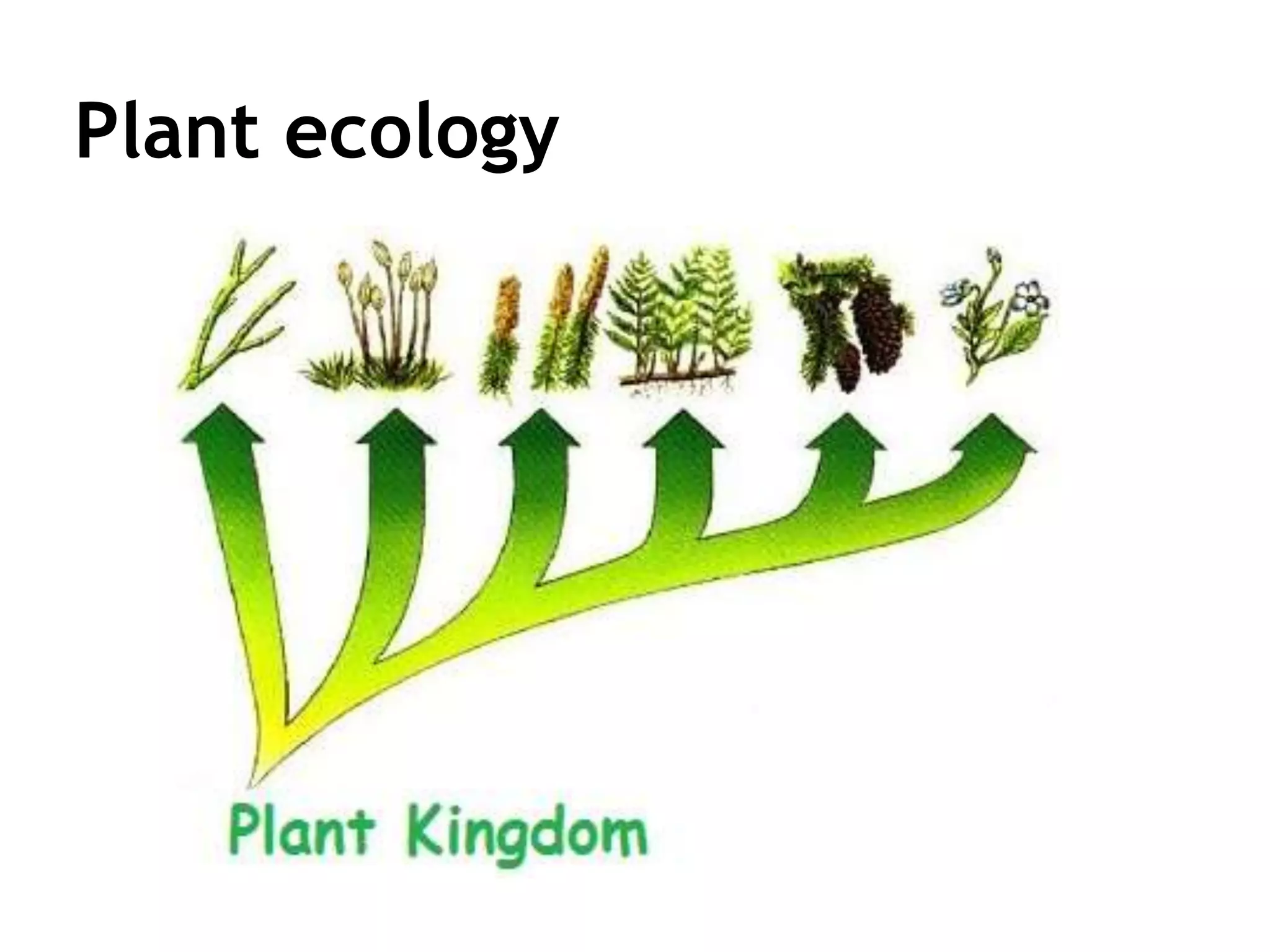 Plant ecology | PPTX