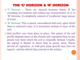 PLANT ECOLOGY-converted.pdf
