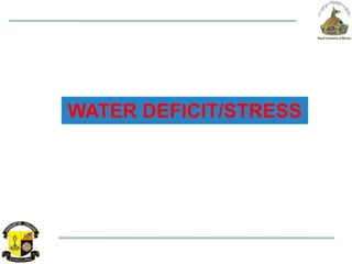 Plant ecophysiology online lesson water stress | PPTX