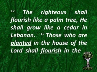 Planted in God’s House | PPS | Christianity | Religion & Spirituality