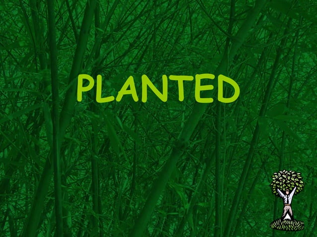 Planted in God’s House | PPS | Christianity | Religion & Spirituality