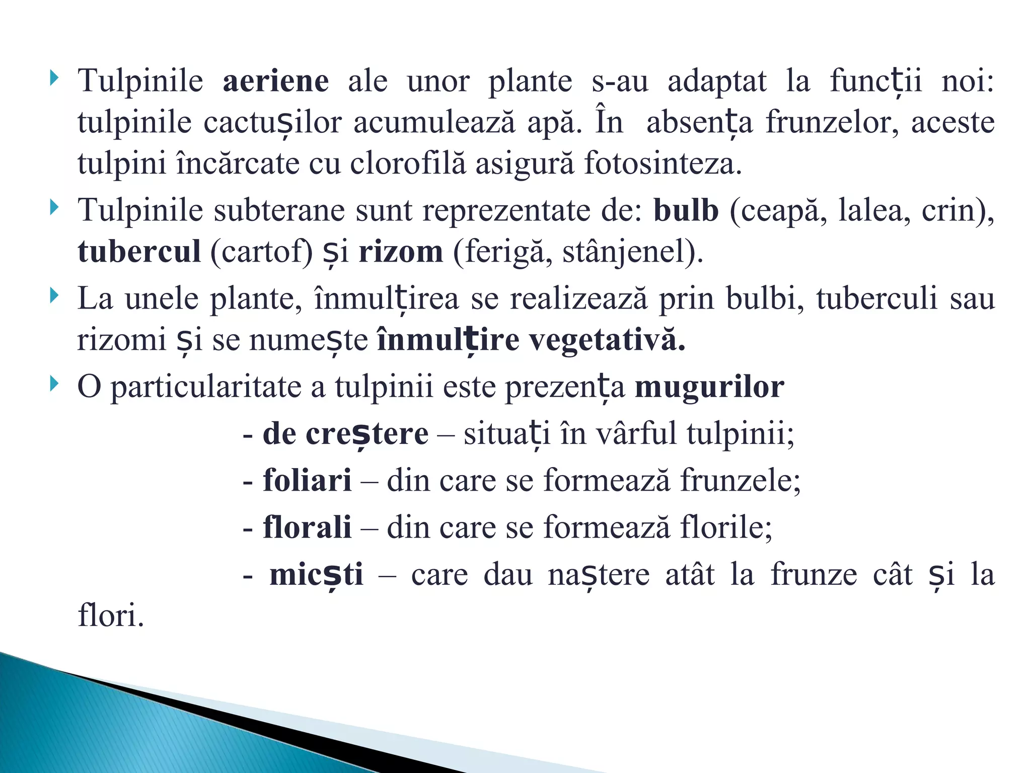 Plantele | PPT