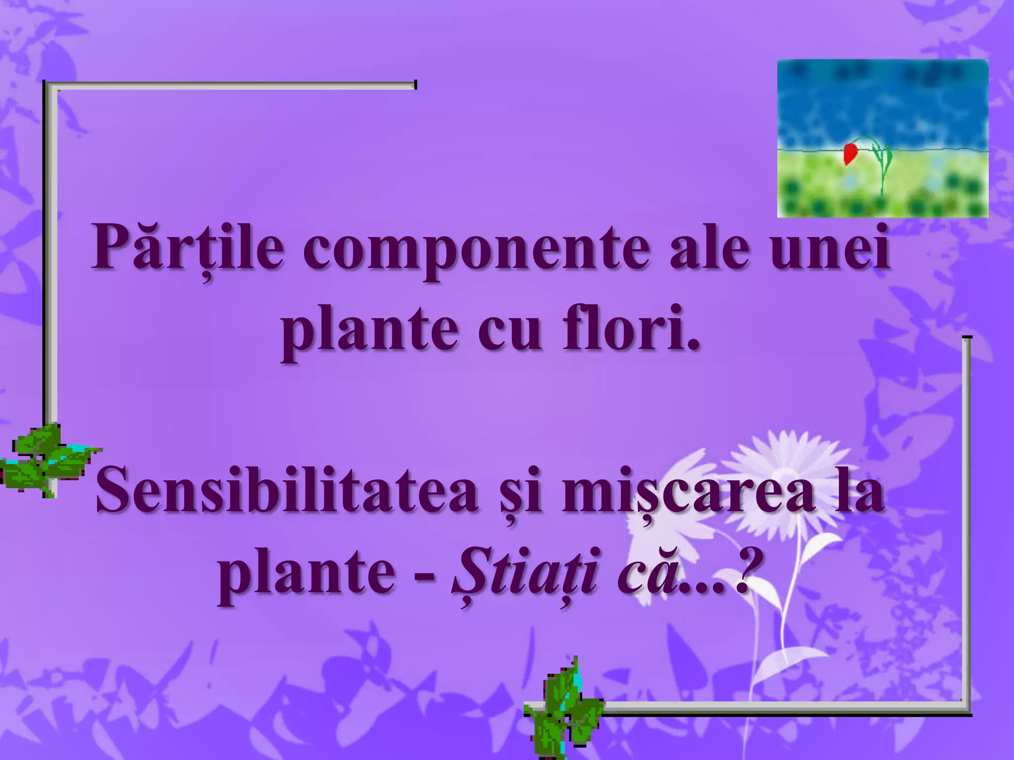 Plantele medicinale | PPTX