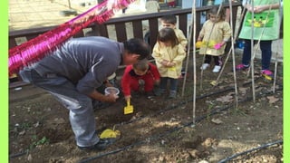 Plantem a l'hort | PPTX