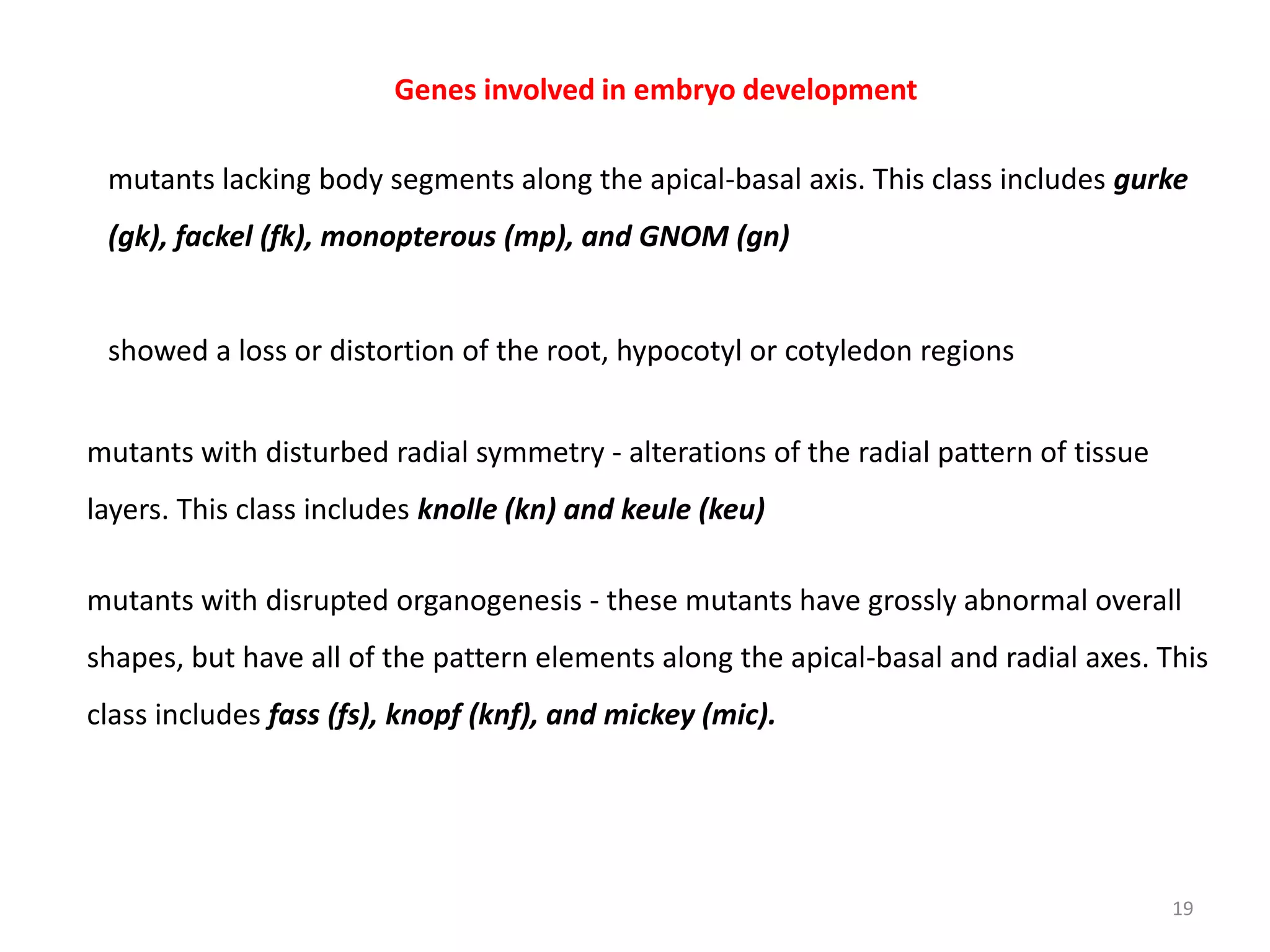 Plant embryo development | PPTX
