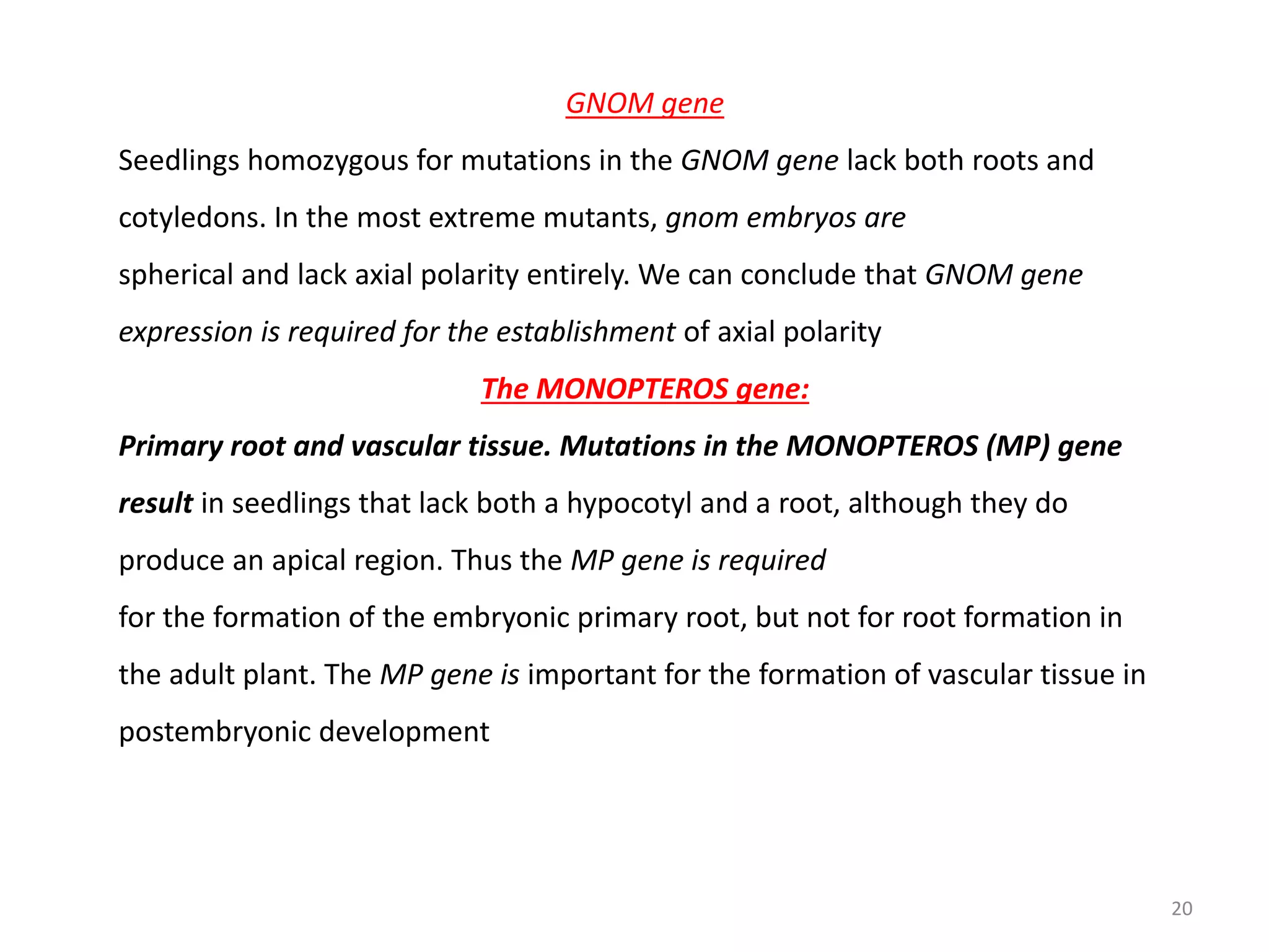 Plant embryo development | PPTX
