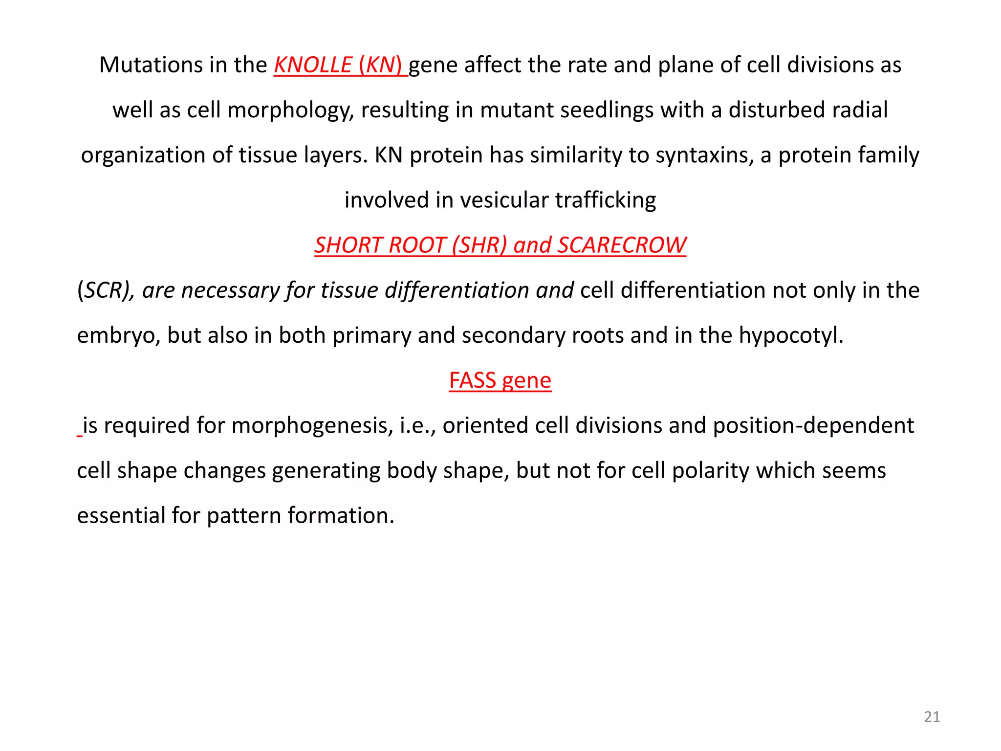 Plant embryo development | PPTX