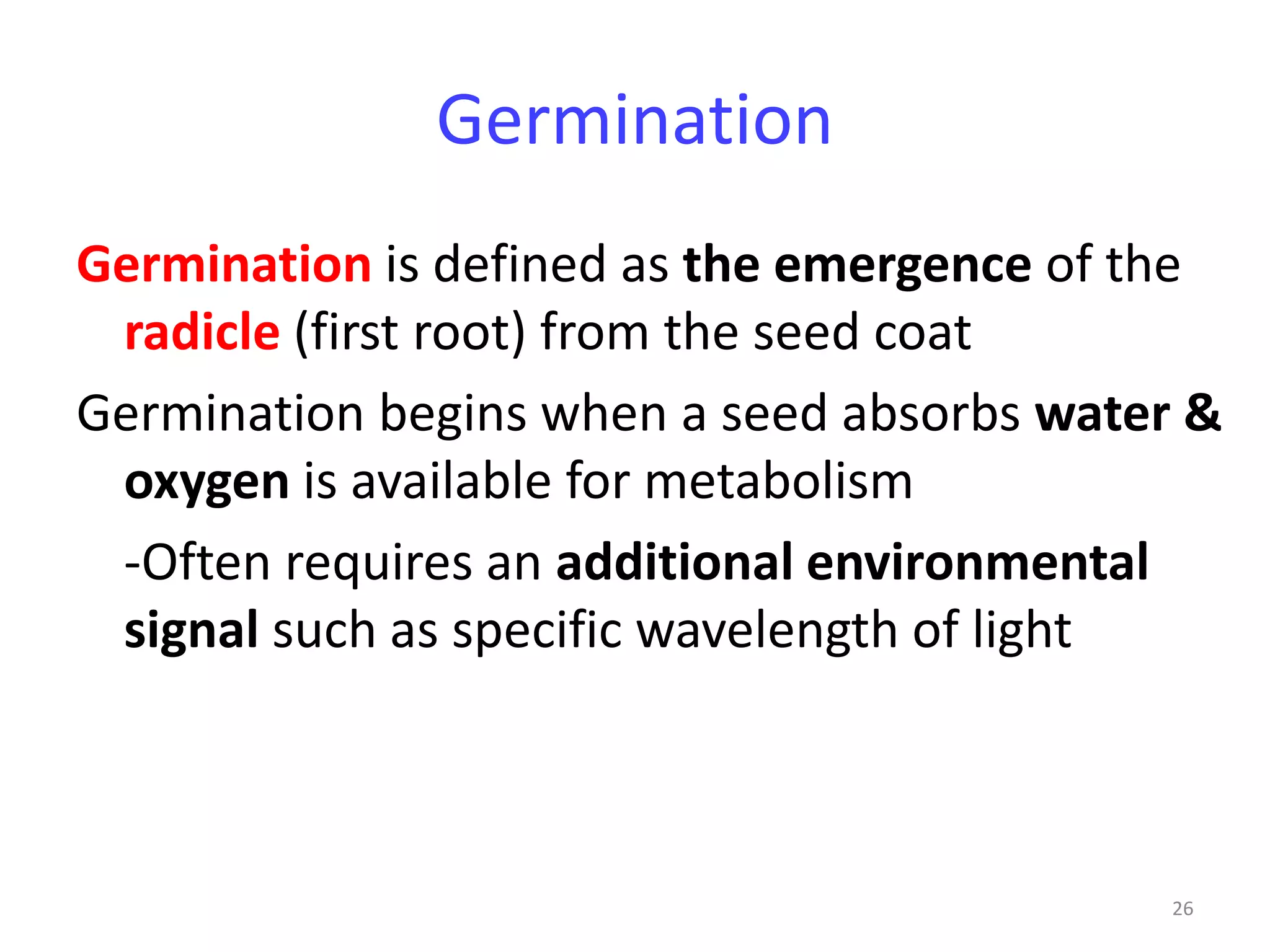 Plant embryo development | PPTX