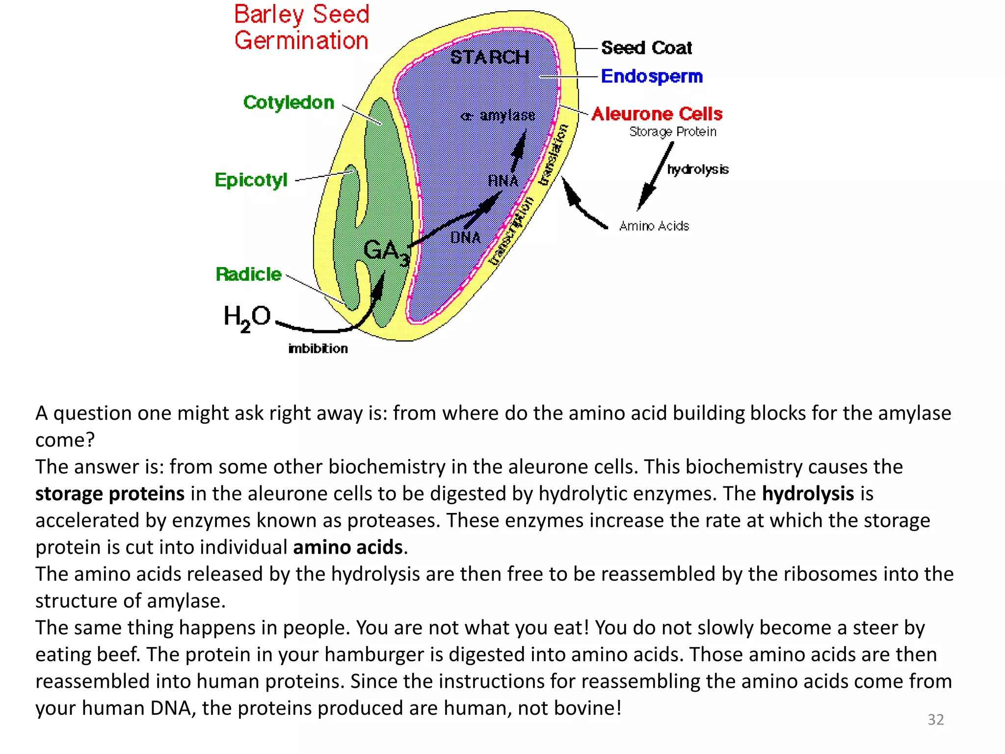 Plant embryo development | PPTX