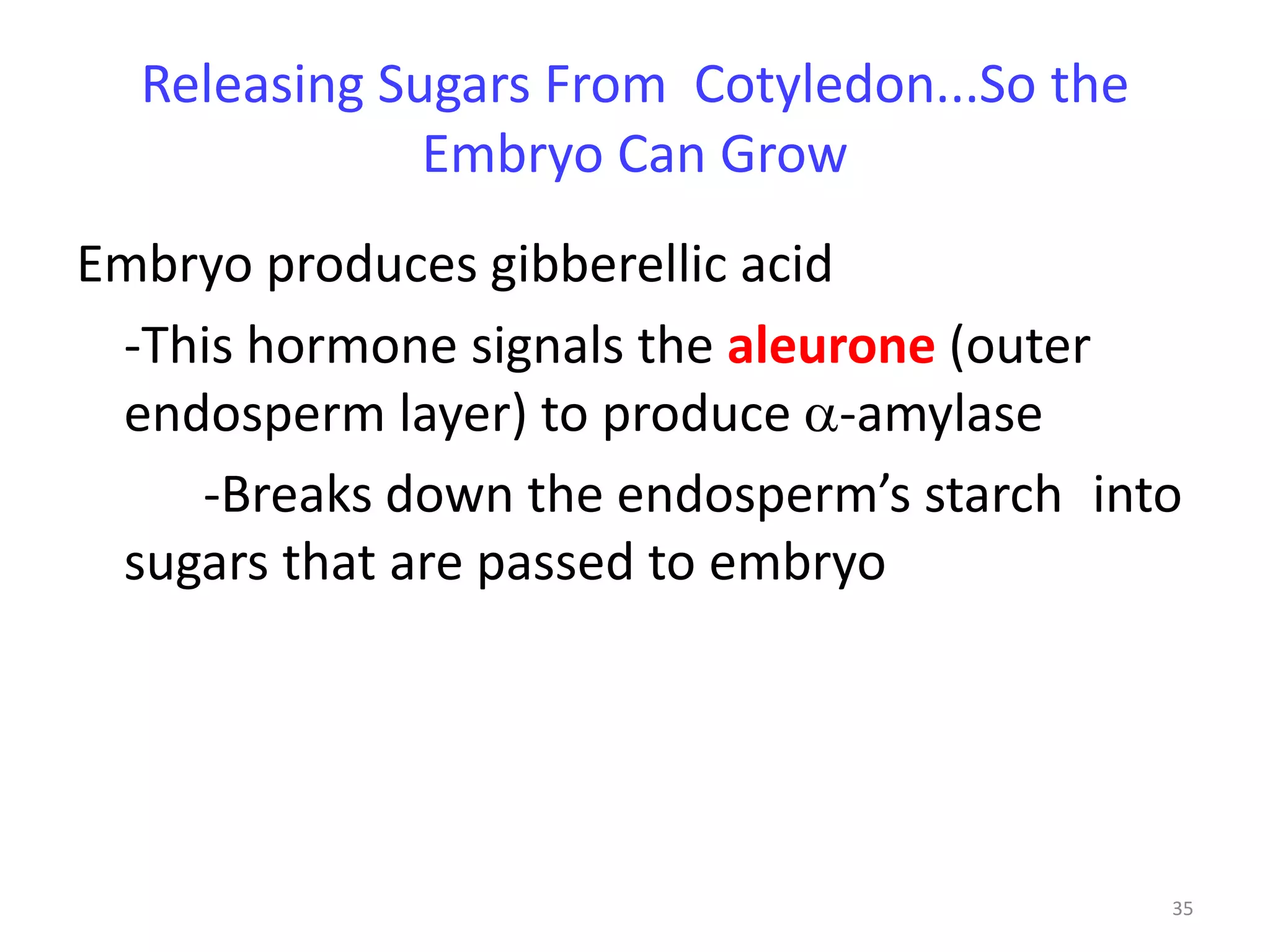 Plant embryo development | PPTX