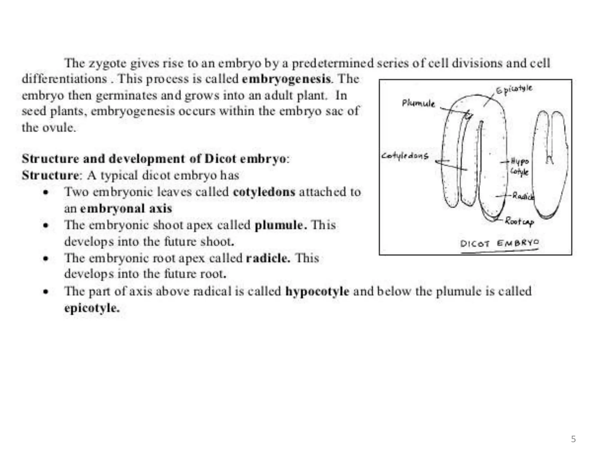 Plant embryo development | PPTX