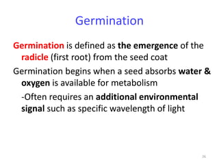 Plant embryo development | PPTX