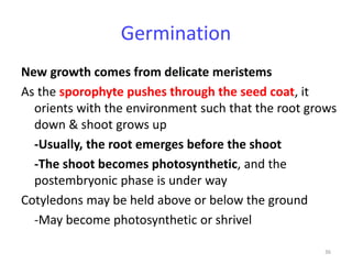 Plant embryo development | PPTX
