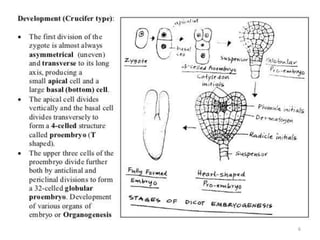Plant embryo development | PPTX