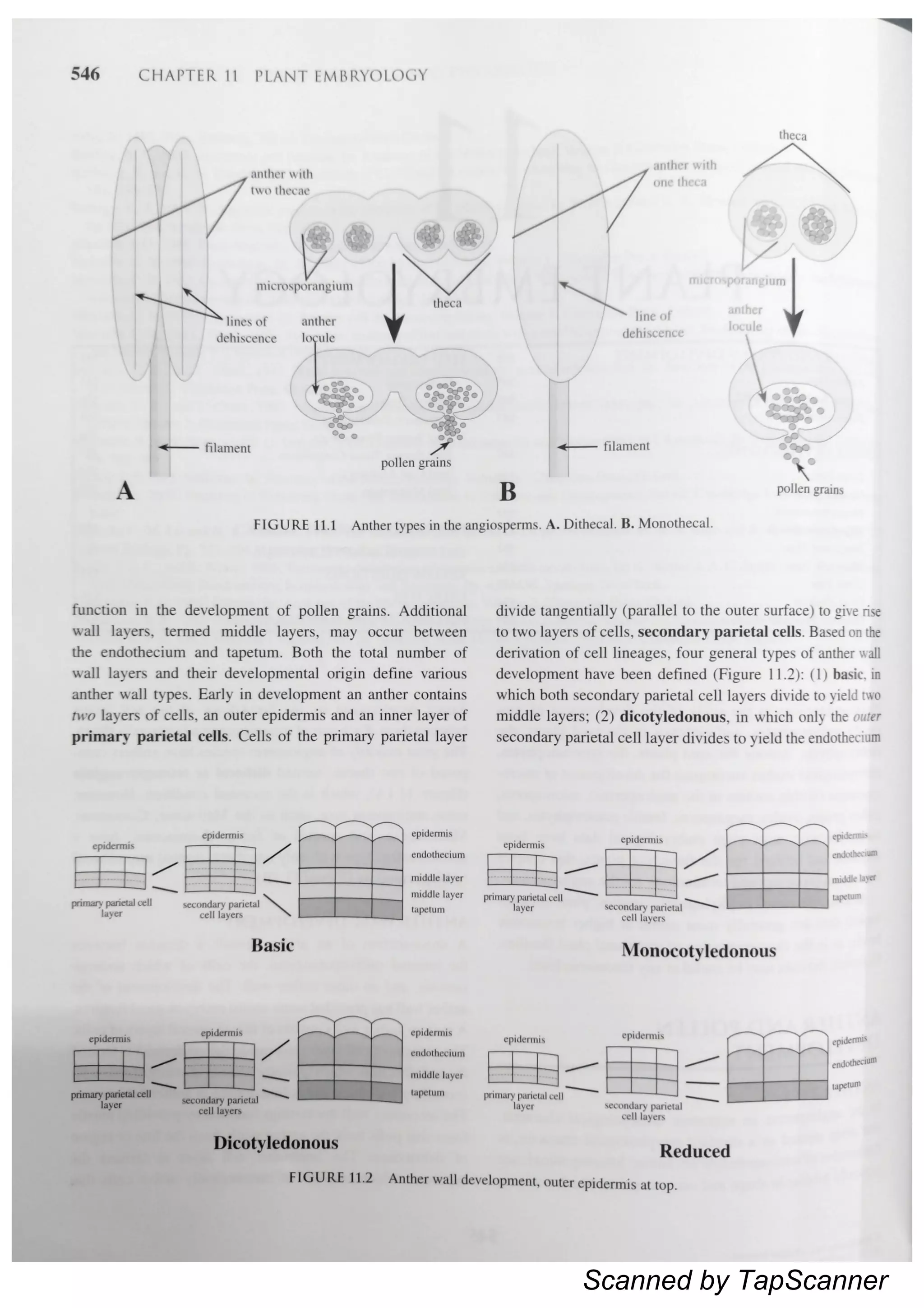 Plant Embryology_Plant Systematics.pdf