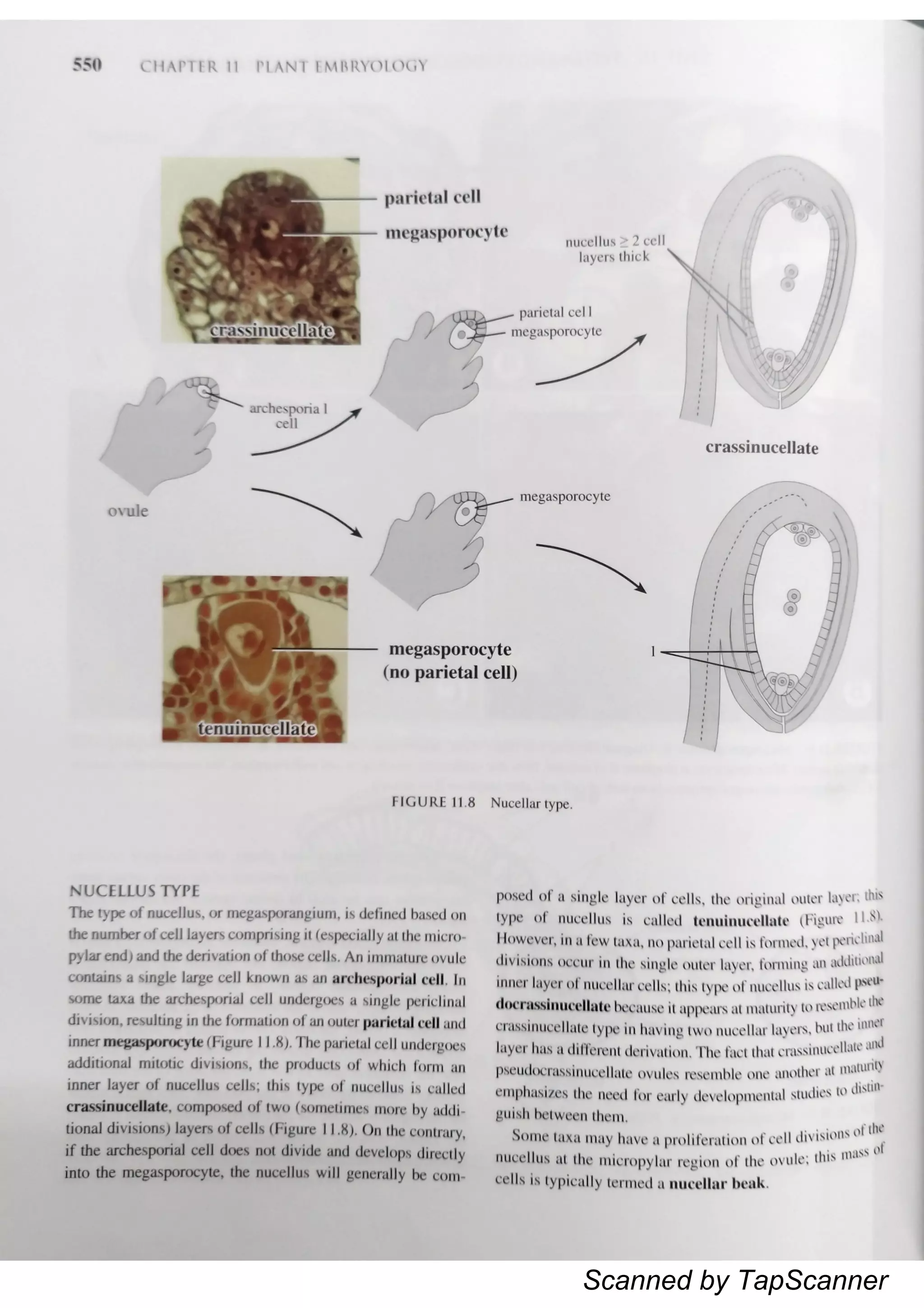 Plant Embryology_Plant Systematics.pdf