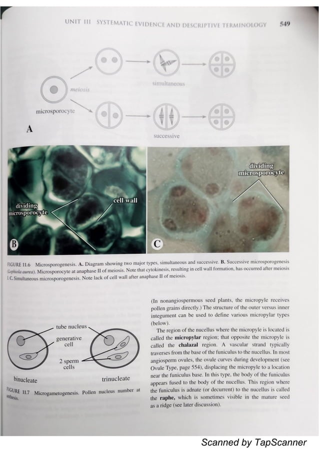 Plant Embryology_Plant Systematics.pdf