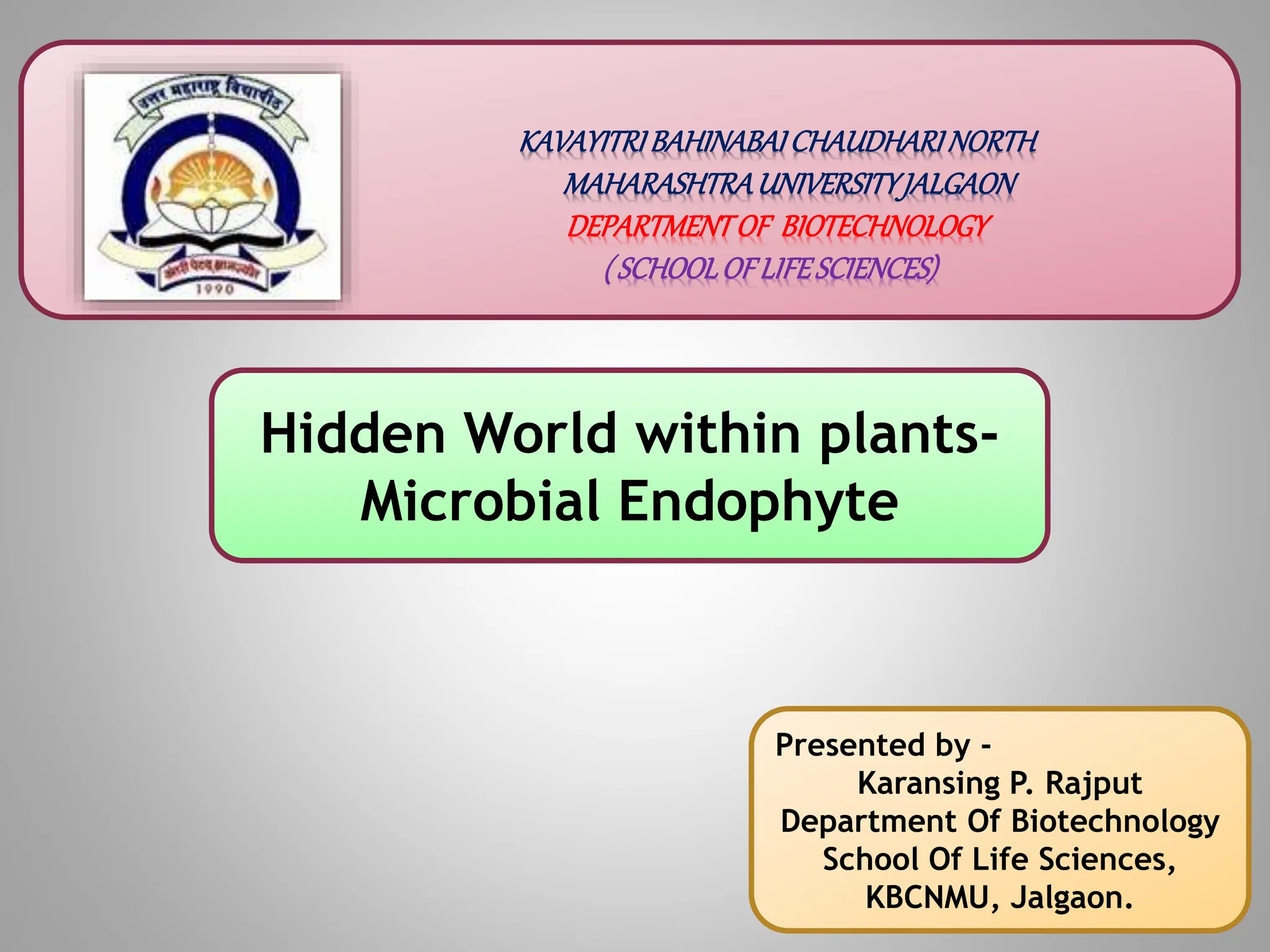 Plant Endophytes KPR.pptx