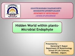 Plant Endophytes KPR.pptx