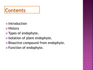 Plant Endophytes KPR.pptx
