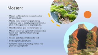 Planten op en rond historische gebouwen | PPTX