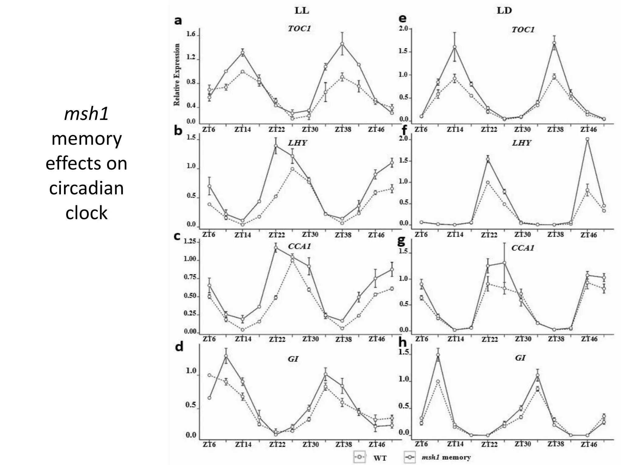 Plant epigenetic memory in plant growth behavior and stress response ...