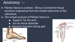 Planter fasciatis .pptx