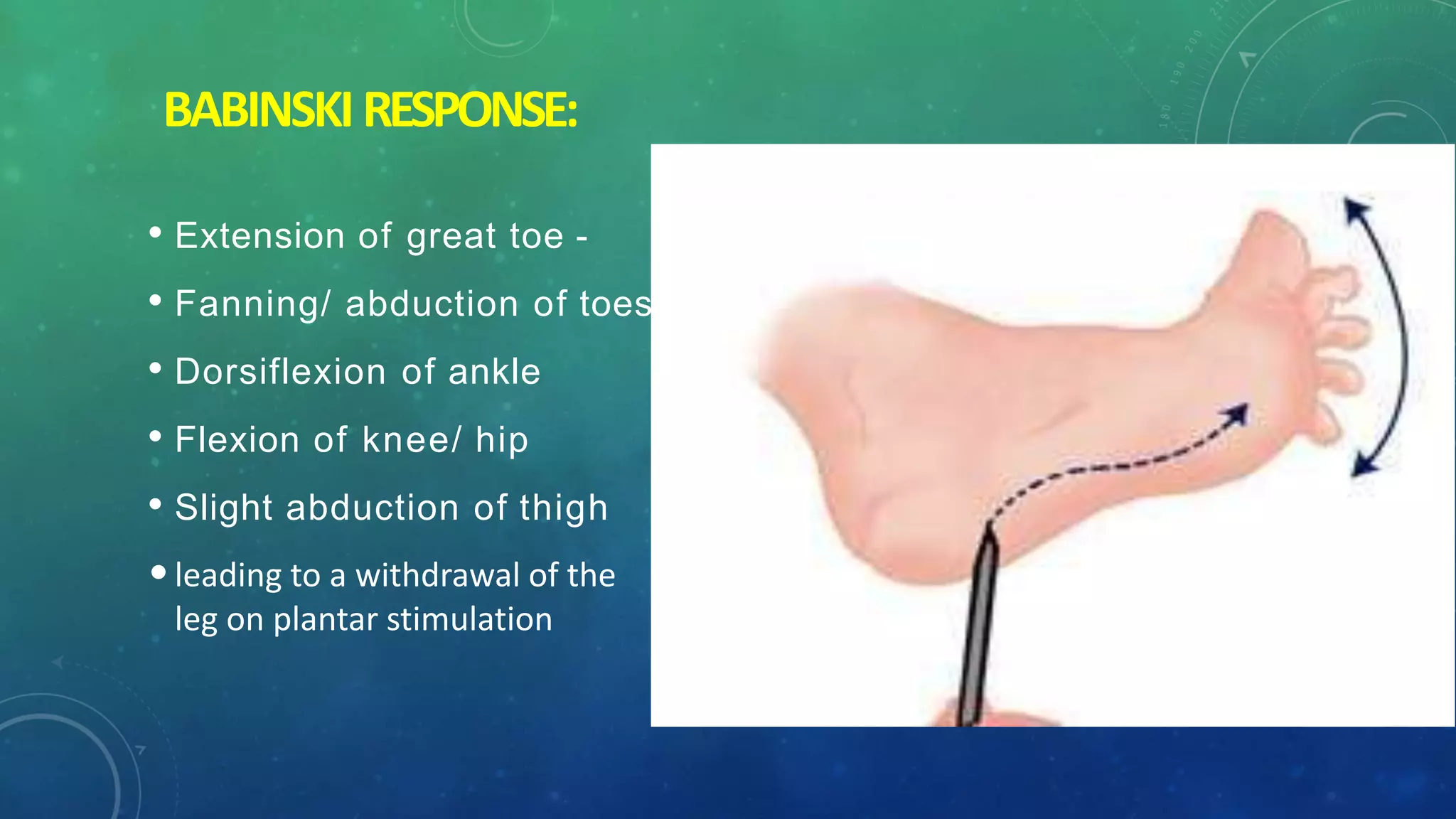 Plantar reflex | PPTX