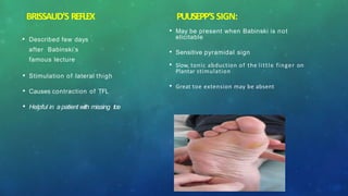 Plantar reflex | PPTX