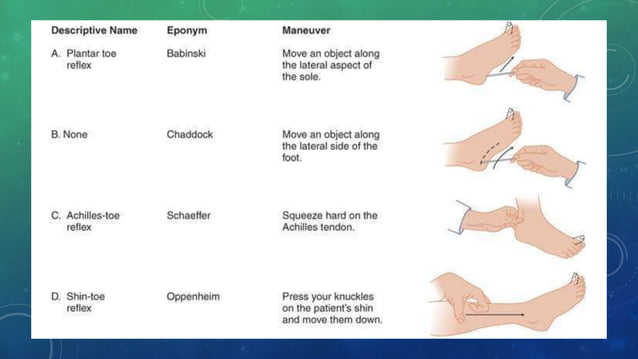 Plantar reflex | PPTX